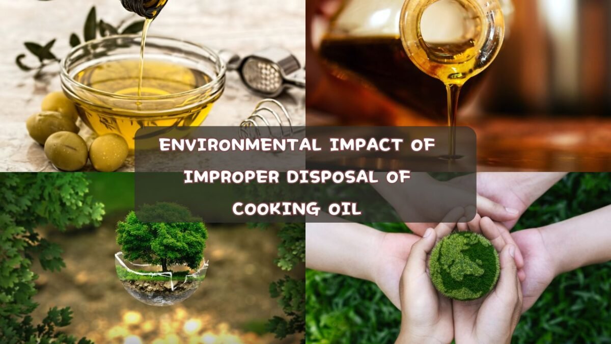 What to Do with Leftover Cooking Oil: Creative and Sustainable Solutions